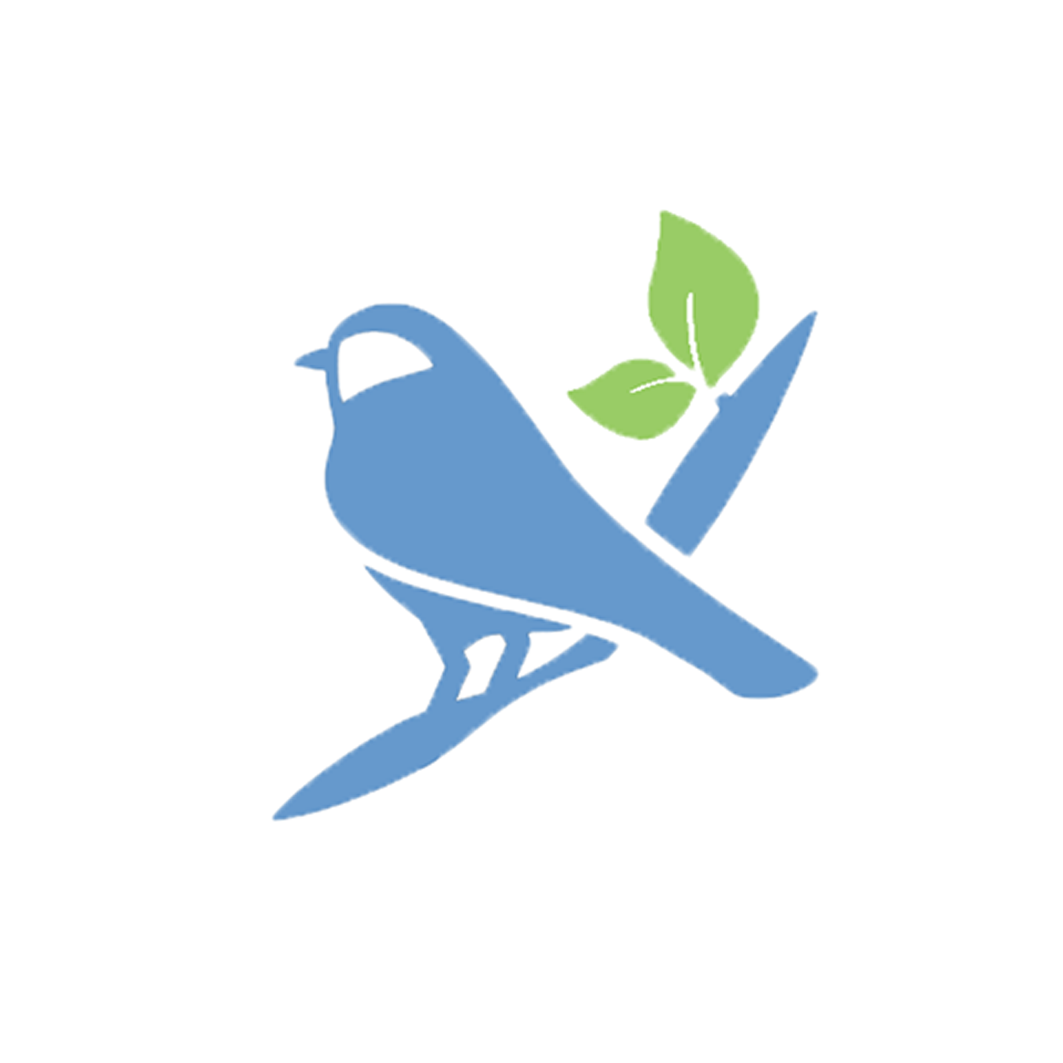 ISST – Behavorial Health Associates